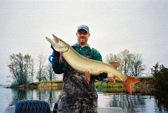 MuskieFIRST | Stocking muskies » General Discussion » Muskie Fishing